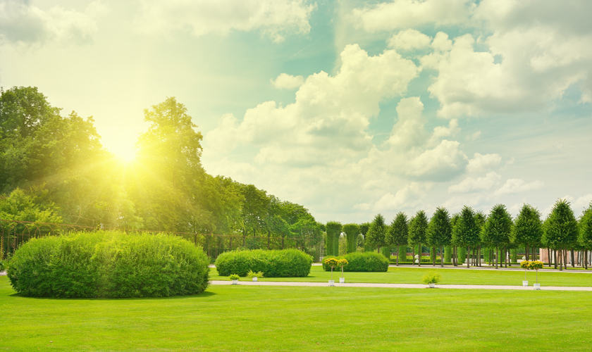Investigaciones señalan que vivir cerca de un parque verde puede ayudar ...